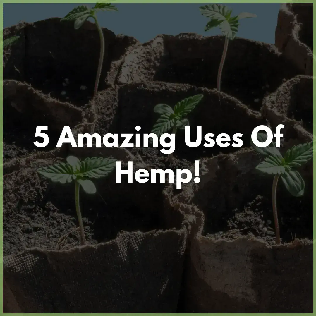 5 Amazing Uses Of Hemp! - Brown's CBD